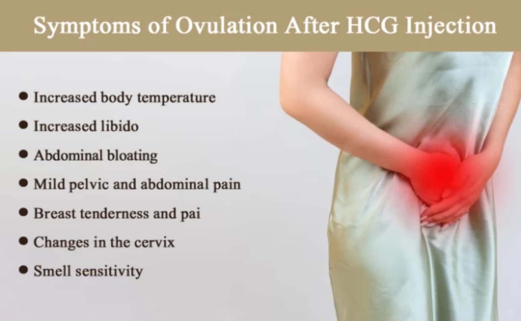 When to take hcg injection for ovulation? - MedsBase