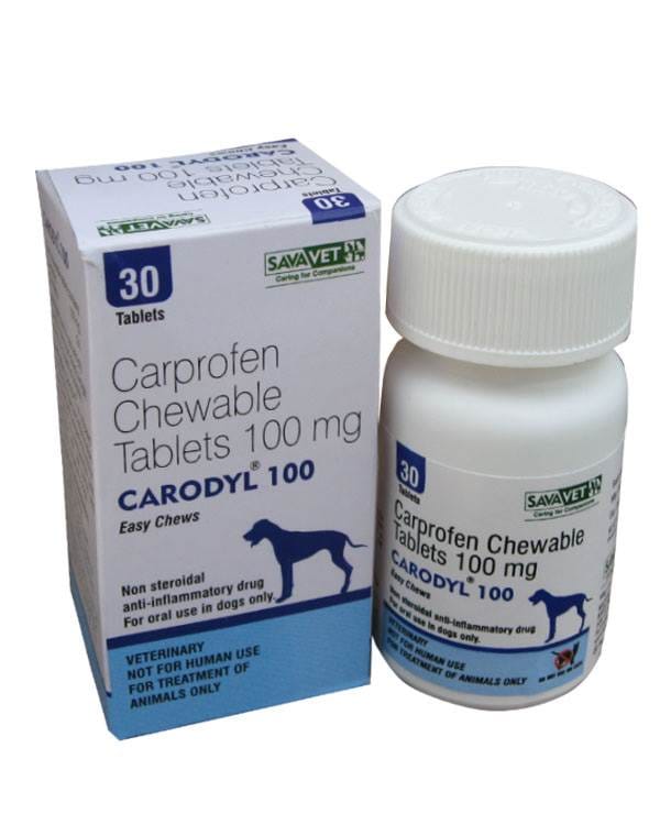 Buy Carodyl for Canine Pain Relief | MedsBase