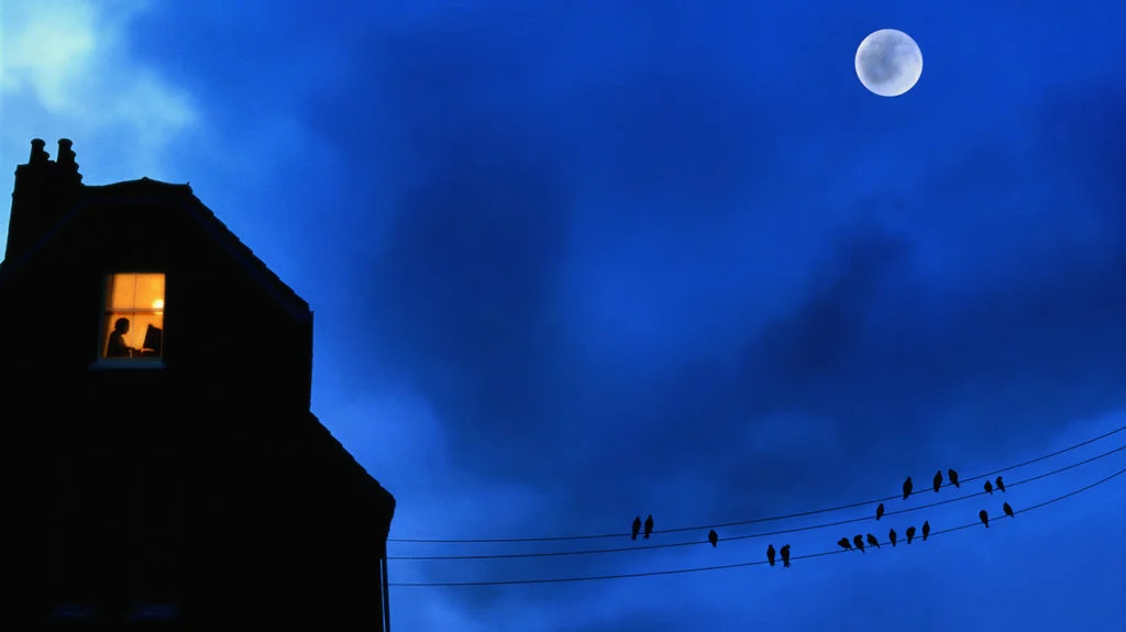 Everything You Need to Know About Insomnia | MedsBase