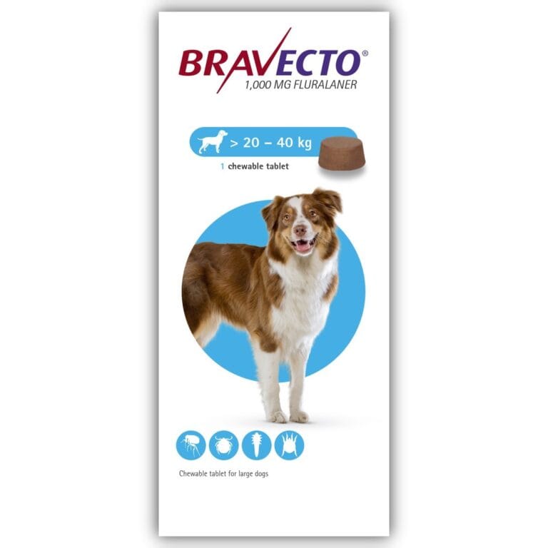 Buy Bravecto for Long-lasting Flea and Tick Protection | MedsBase